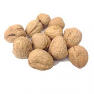 nuez de castilla de cascara - REMANU