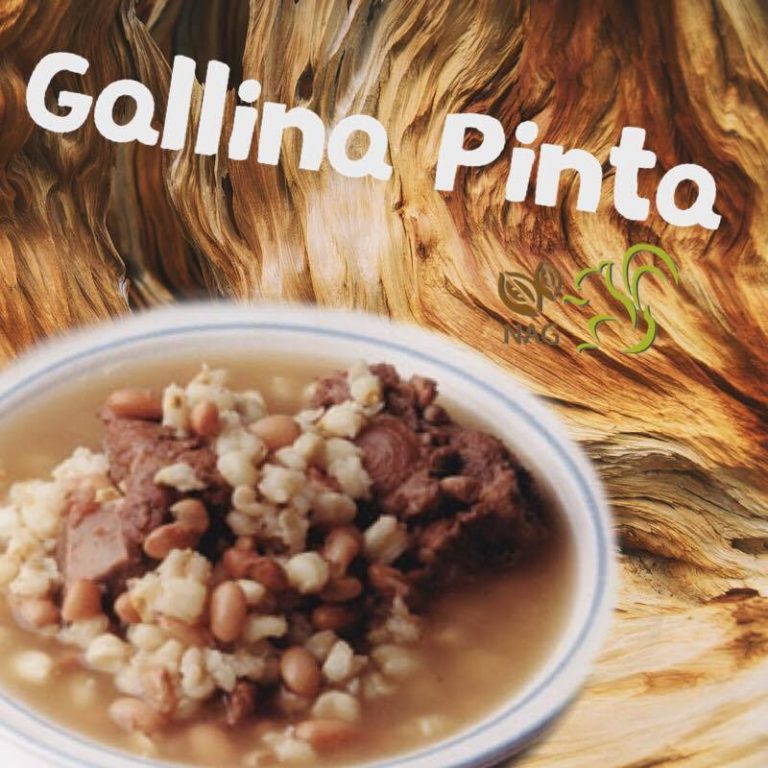 Gallina Pinta con Frijol Bayo - REMANU